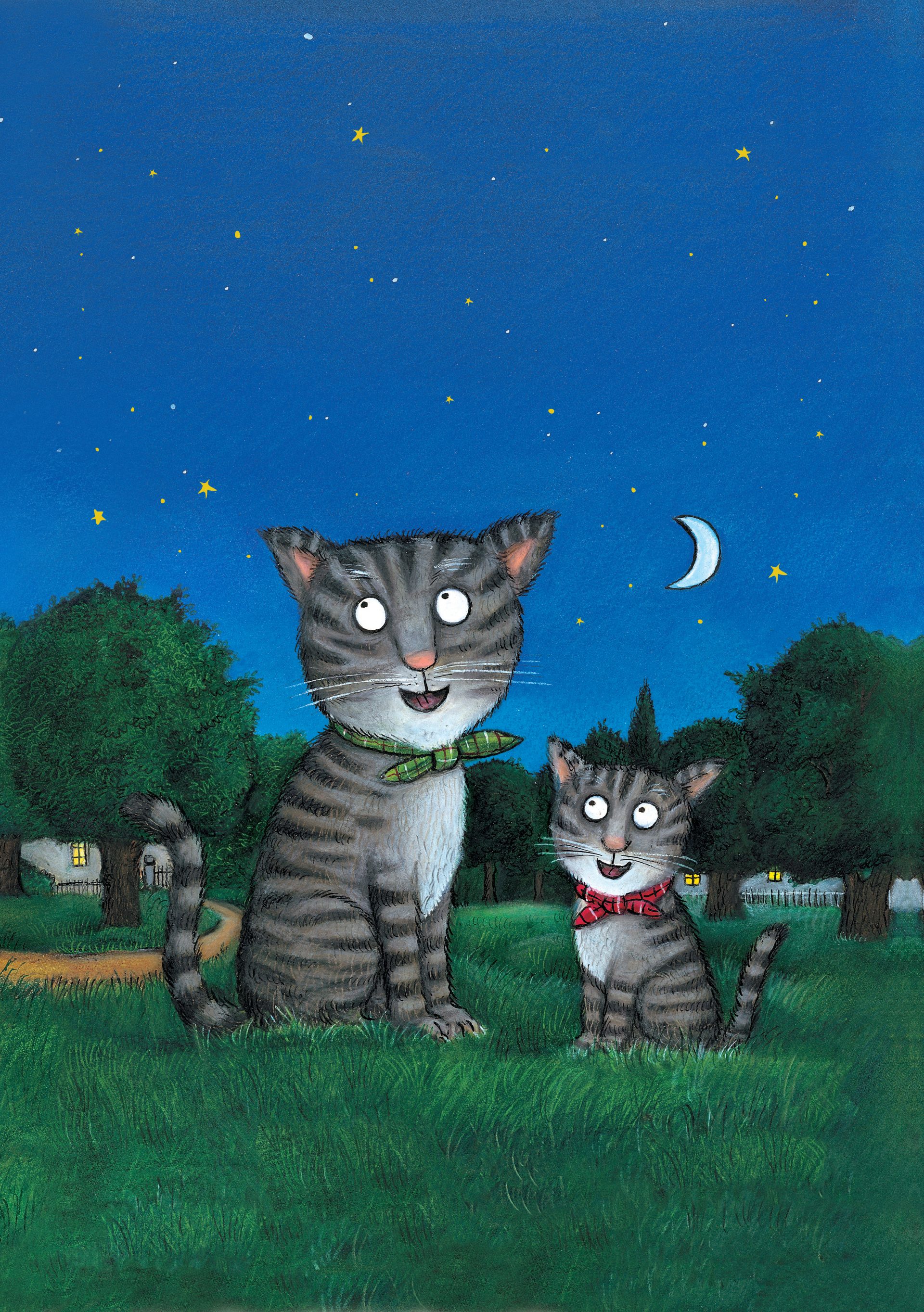 Famous children's author Julia Donaldson talks about family show Tabby ...